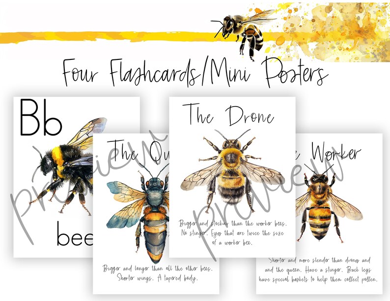 Honey Bee Mini Unit | Honey Bees and Beekeeping Homeschool Study | Life ...