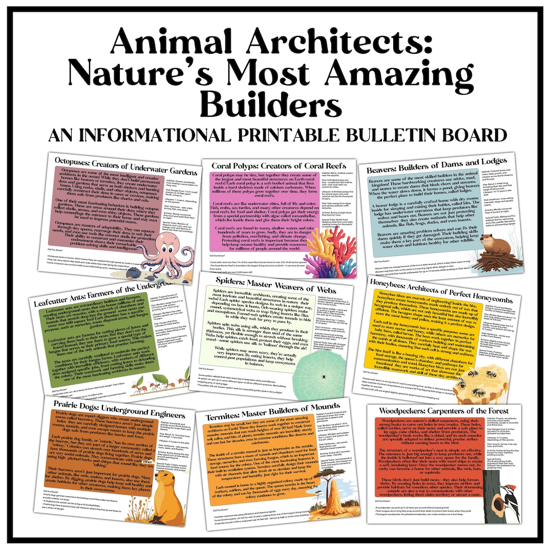 Animal Architects Bulletin Board Set | Habitat and Ecosystem Posters ...