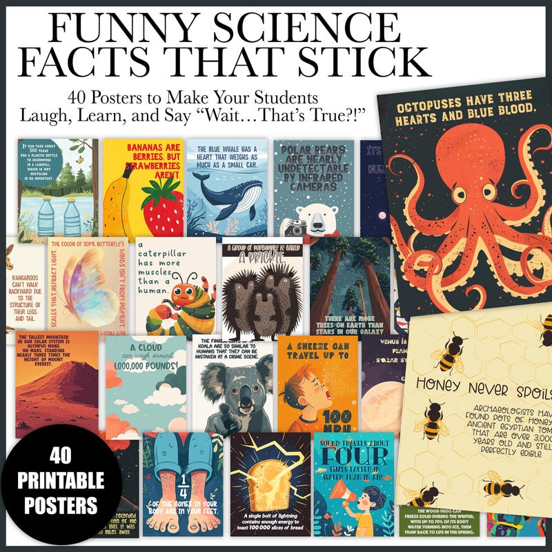 Kids Room Science Posters - Etsy