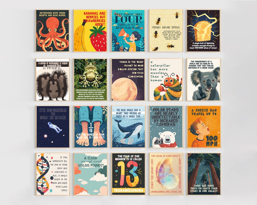 Funny Science Class Posters Hilarious Facts Science Teacher Classroom ...