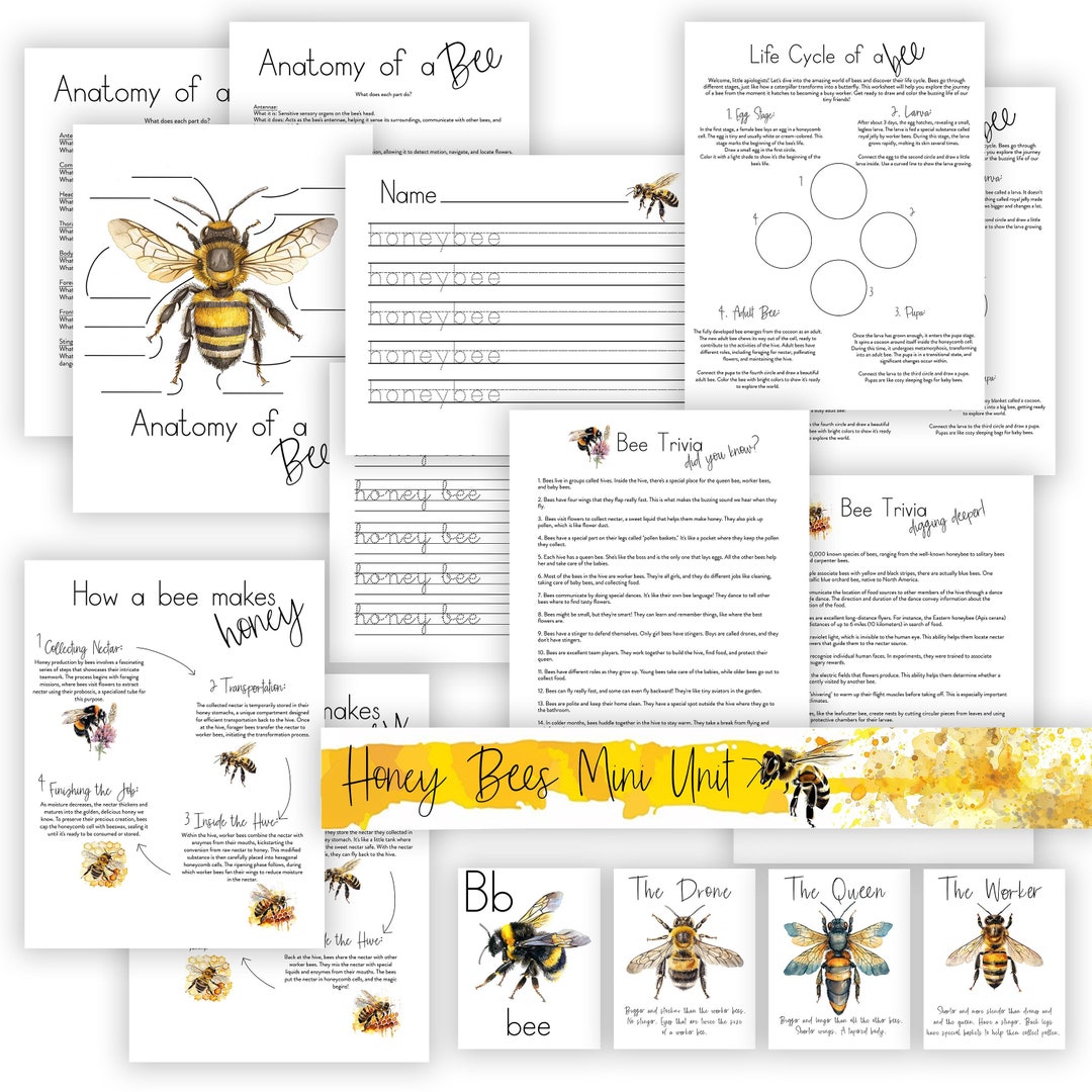 Honey Bee Mini Unit | Honey Bees and Beekeeping Homeschool Study | Life ...