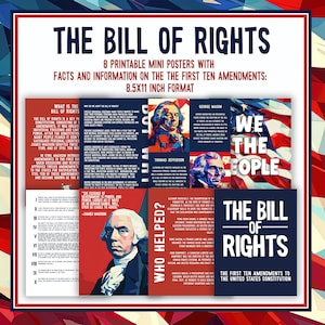 The Bill of Rights Bulletin Board Set | US Constitution Government ...