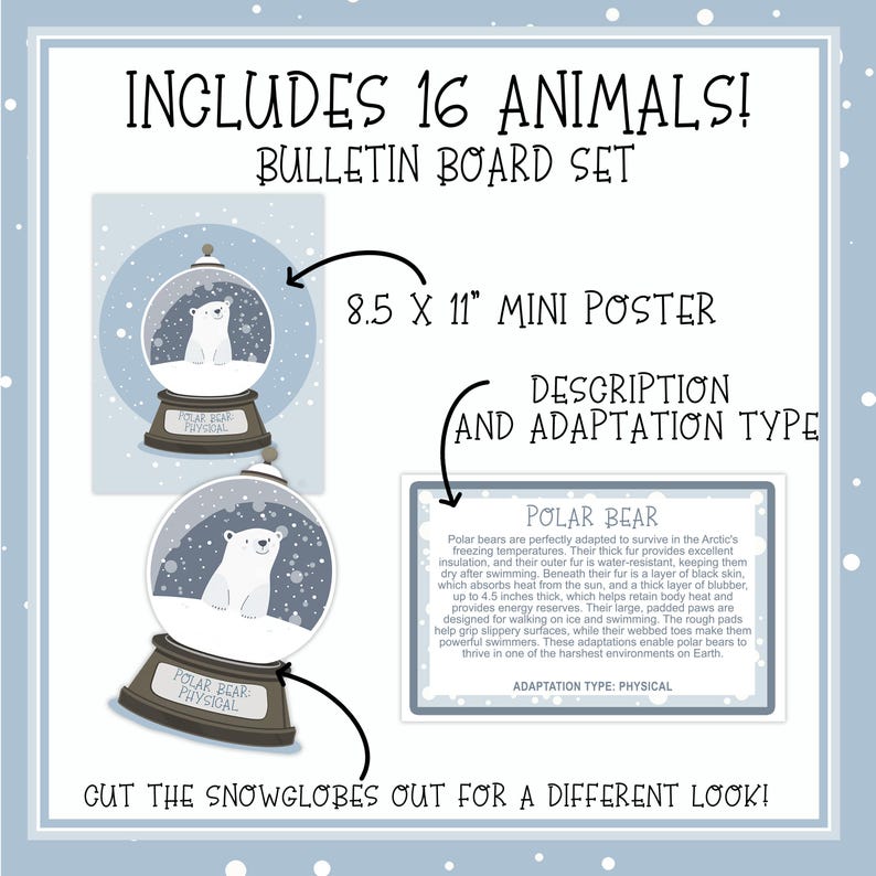 Winter Animal Adaptations Bulletin Board Set | Winter Animals ...