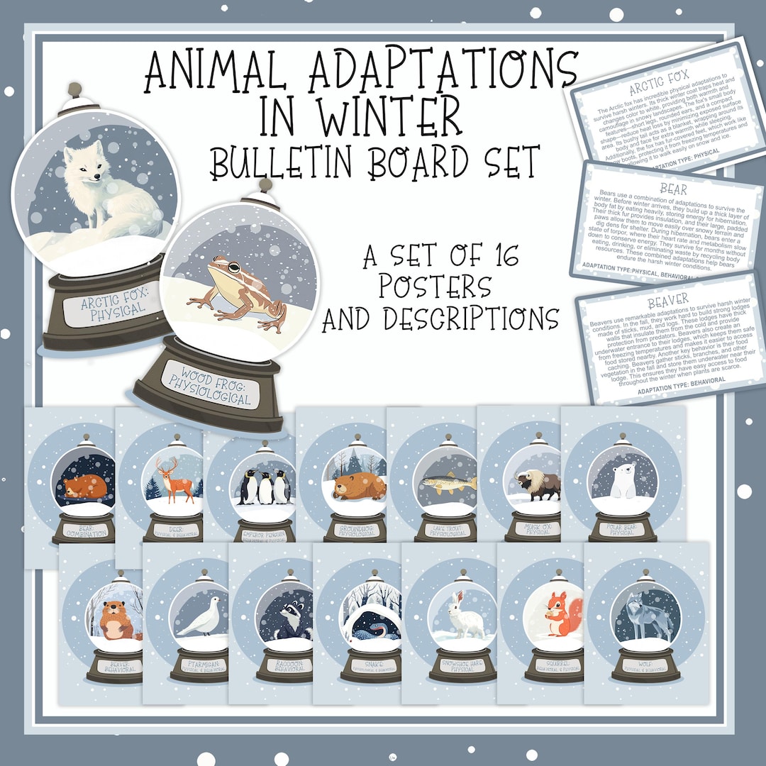 Winter Animal Adaptations Bulletin Board Set | Winter Animals ...