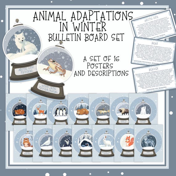 Animals In Winter Preschool Theme