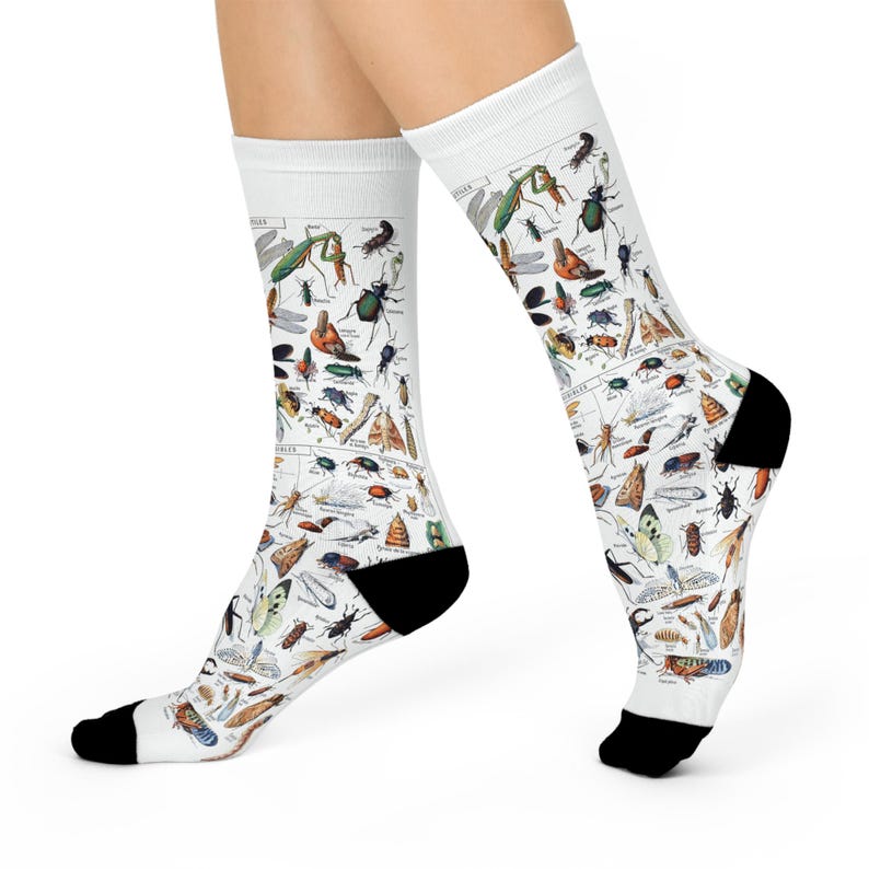 Adolphe Millot Insectes Socks | Vintage Beetle & Insects Illustration ...