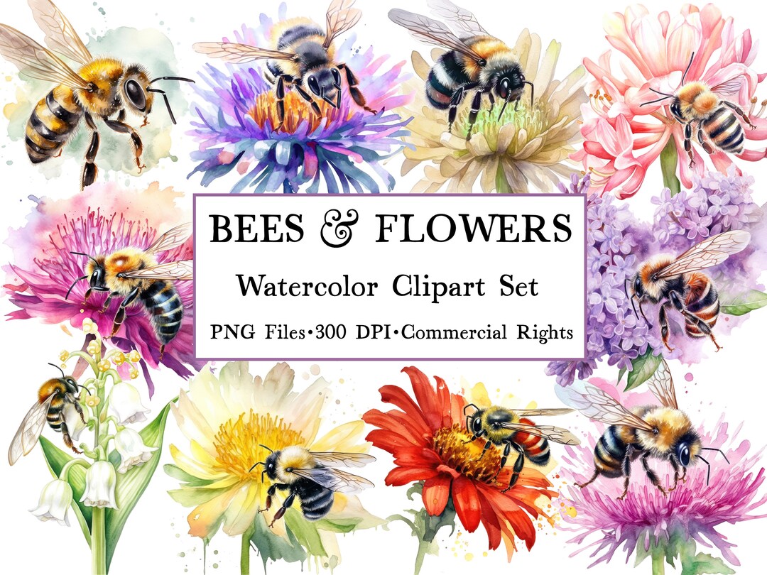 Watercolor Bee Floral Clipart Wildflower Honeybee PNG Clip - Etsy