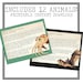 Animal Adaptations Bulletin Board | Classroom Science Decor Posters for ...