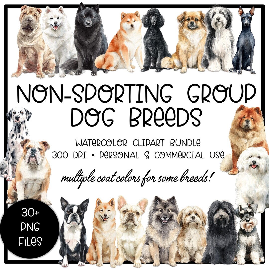 Non-sporting Dog Breeds Watercolor Clipart PNG | Bulldog Poodle Chow ...