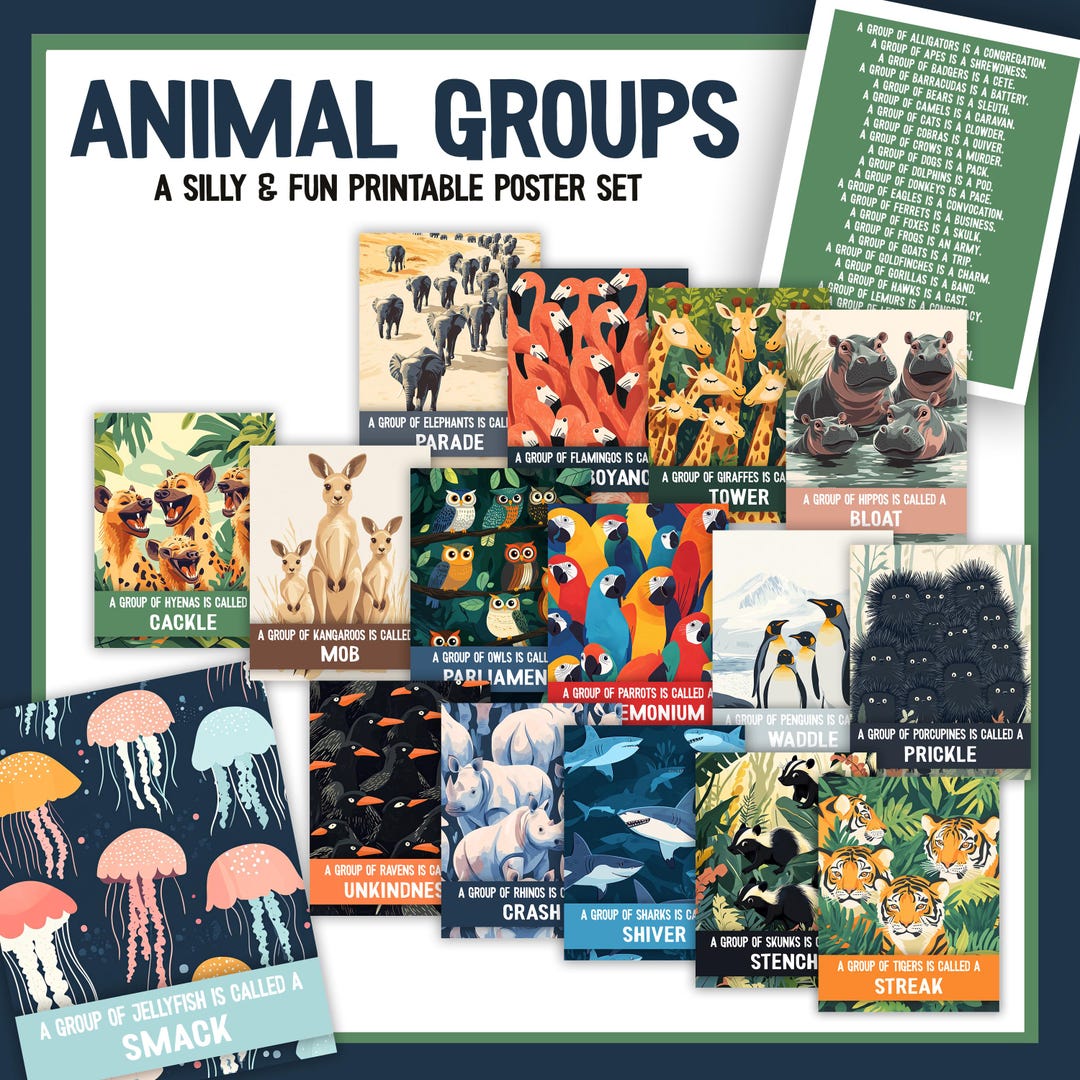Animal Groups Bulletin Board | Funny Science Class Poster Set | Earth ...