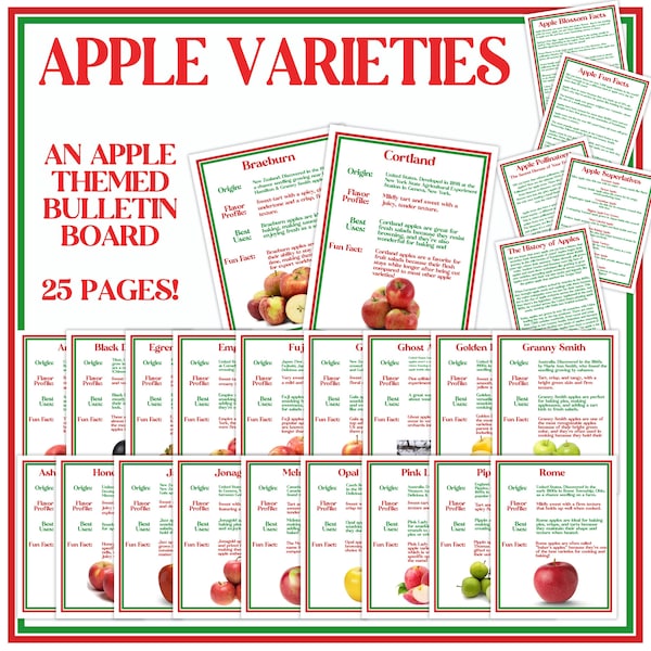 Apple Poster - Etsy