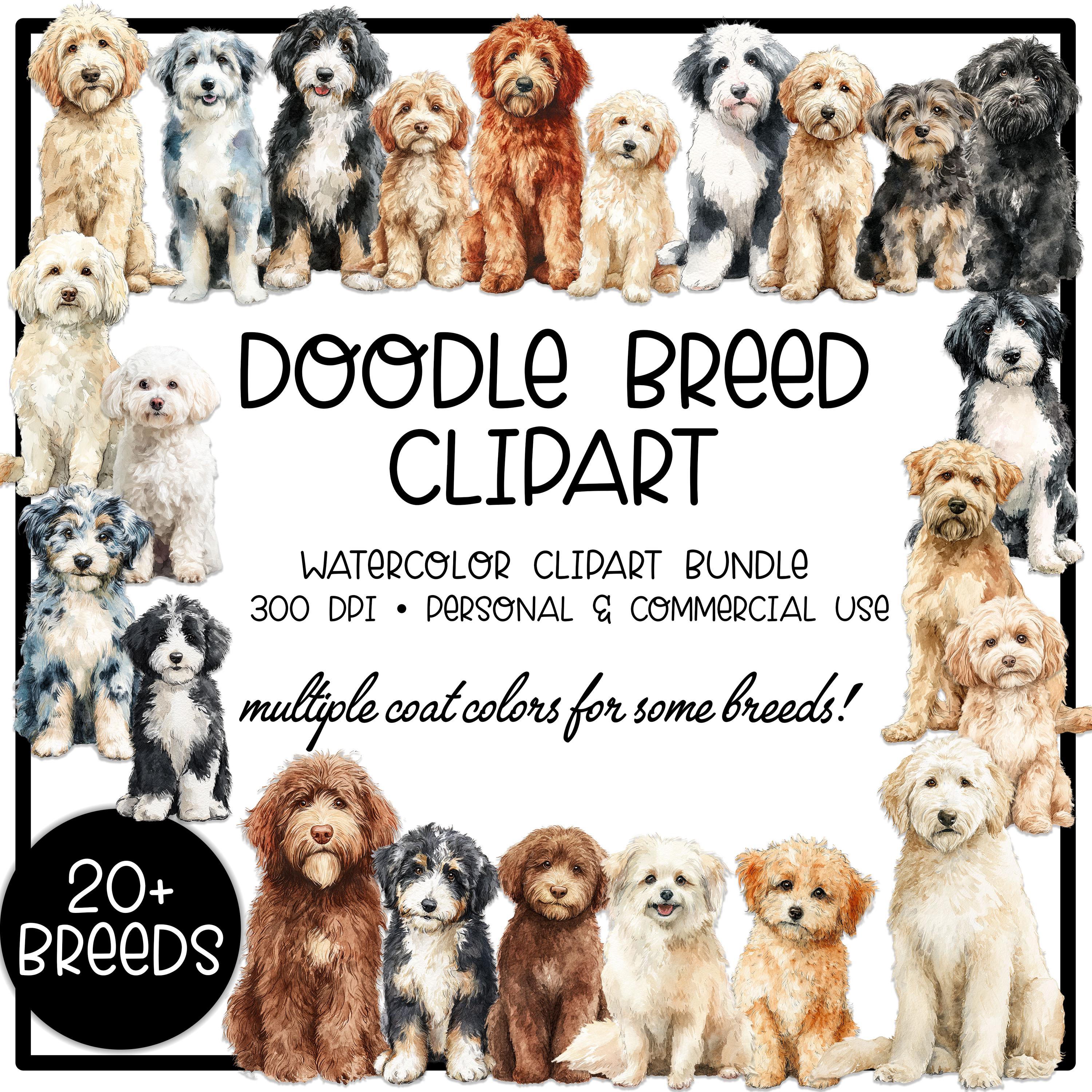 Doodle Dog Watercolor Clipart PNG Bundle | Doodle Breeds | Goldendoodle ...