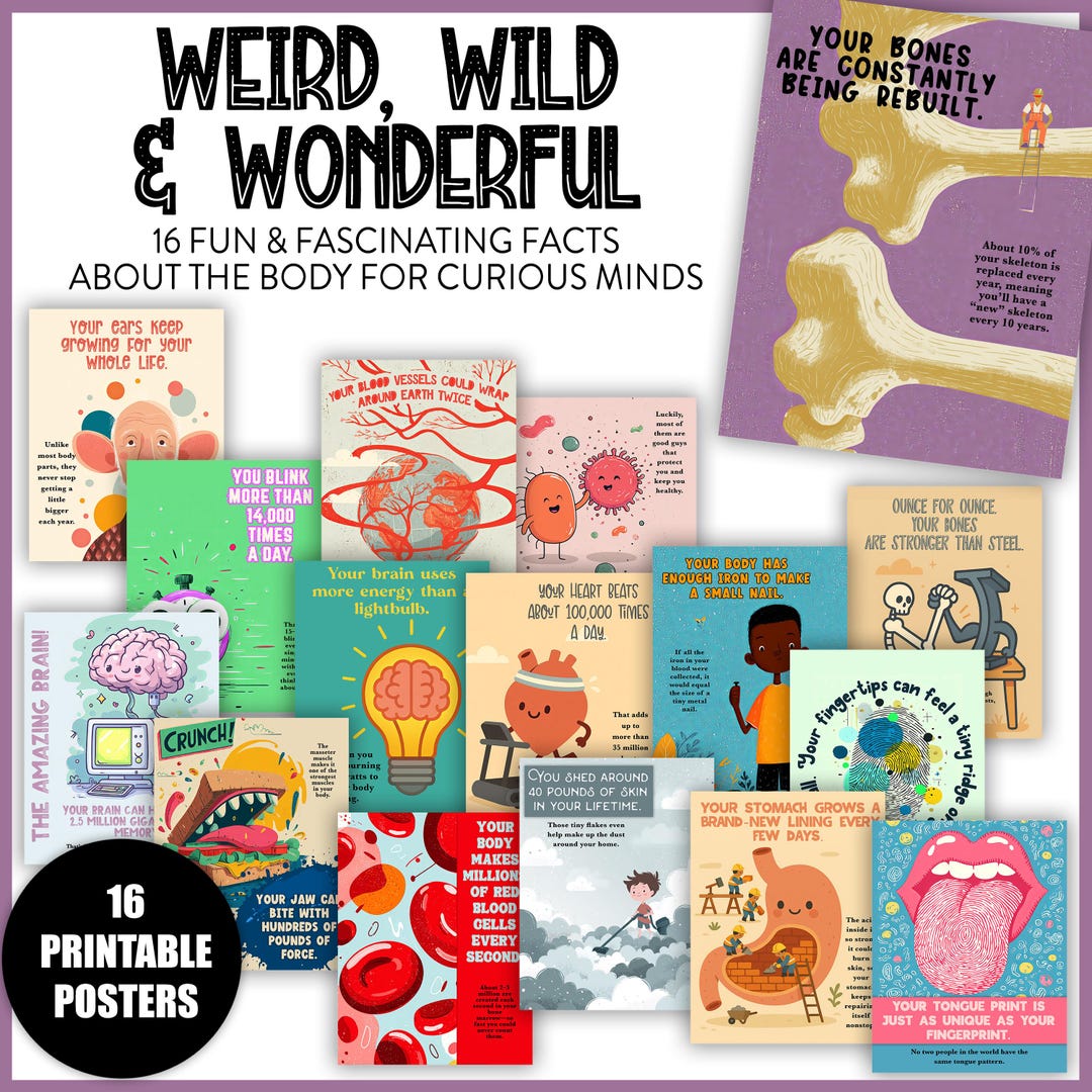 Human Body Facts Posters | Funny Science Class Bulletin Board | Fun ...