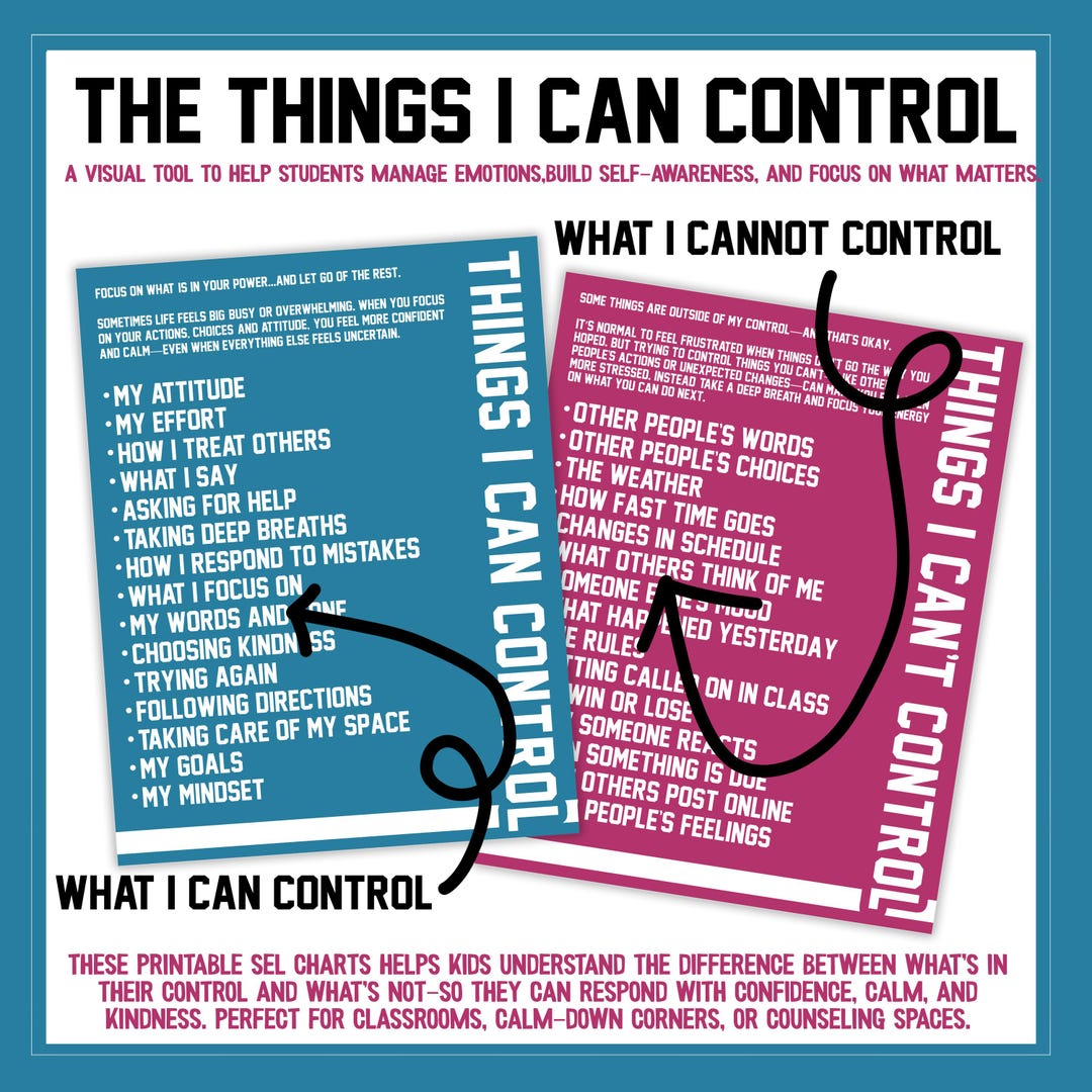 What Can I Control SEL Poster | Emotional Regulation Anchor Chart ...