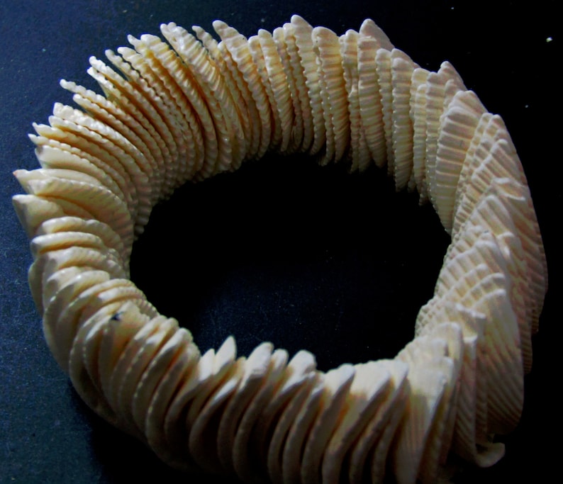 Caribbean Bracelet Made of Seashells - Etsy