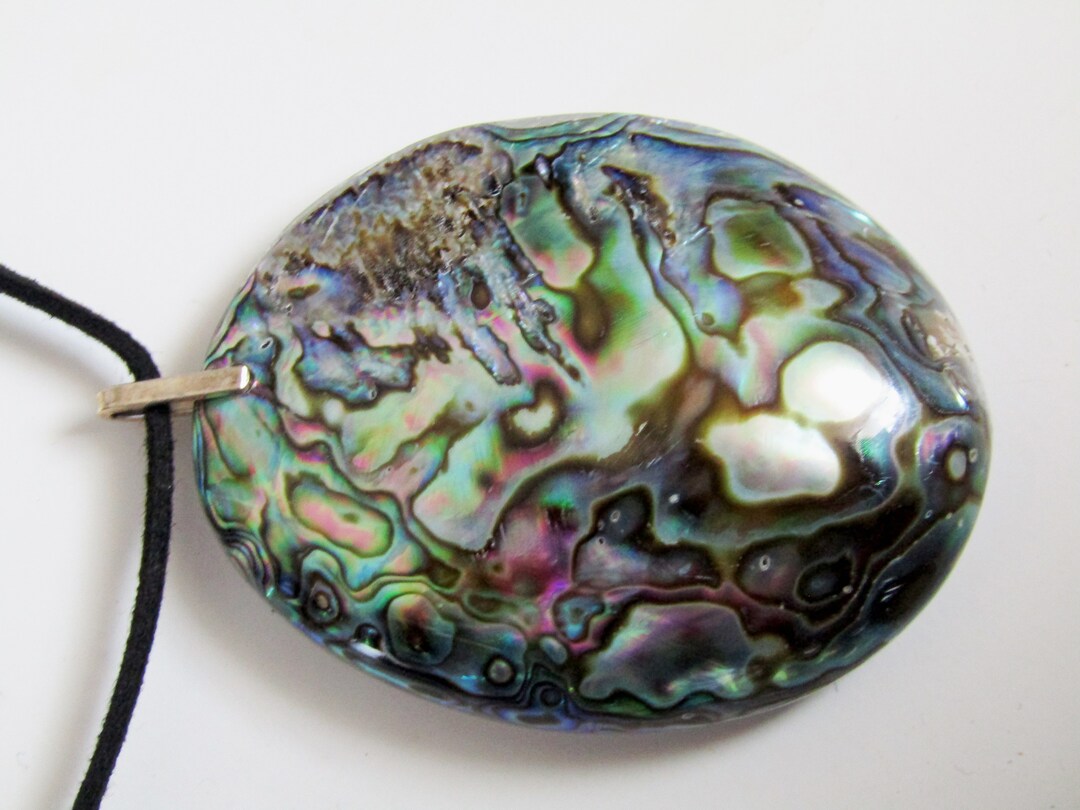 Natural Pacific Abalone Shell - Large Size: Perfect for Crafts and ...