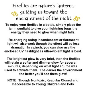 Firefly / Lightning Bug Jars - Glow in the Dark UV Light Activated With ...