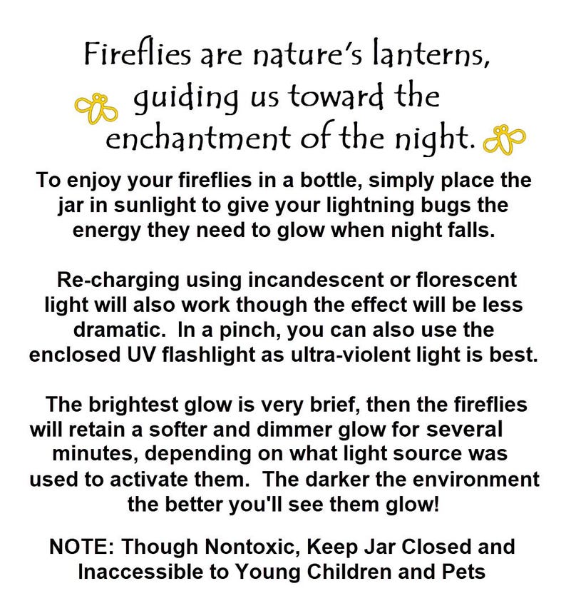 Firefly / Lightning Bug Jars - Glow in the Dark UV Light Activated With ...