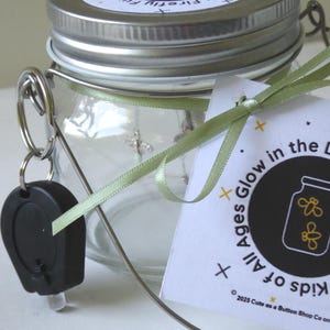 Firefly / Lightning Bug Jars - Glow in the Dark UV Light Activated With ...