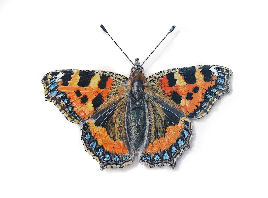 Small Tortoiseshell Butterfly Painting Conservation Endangered Species ...