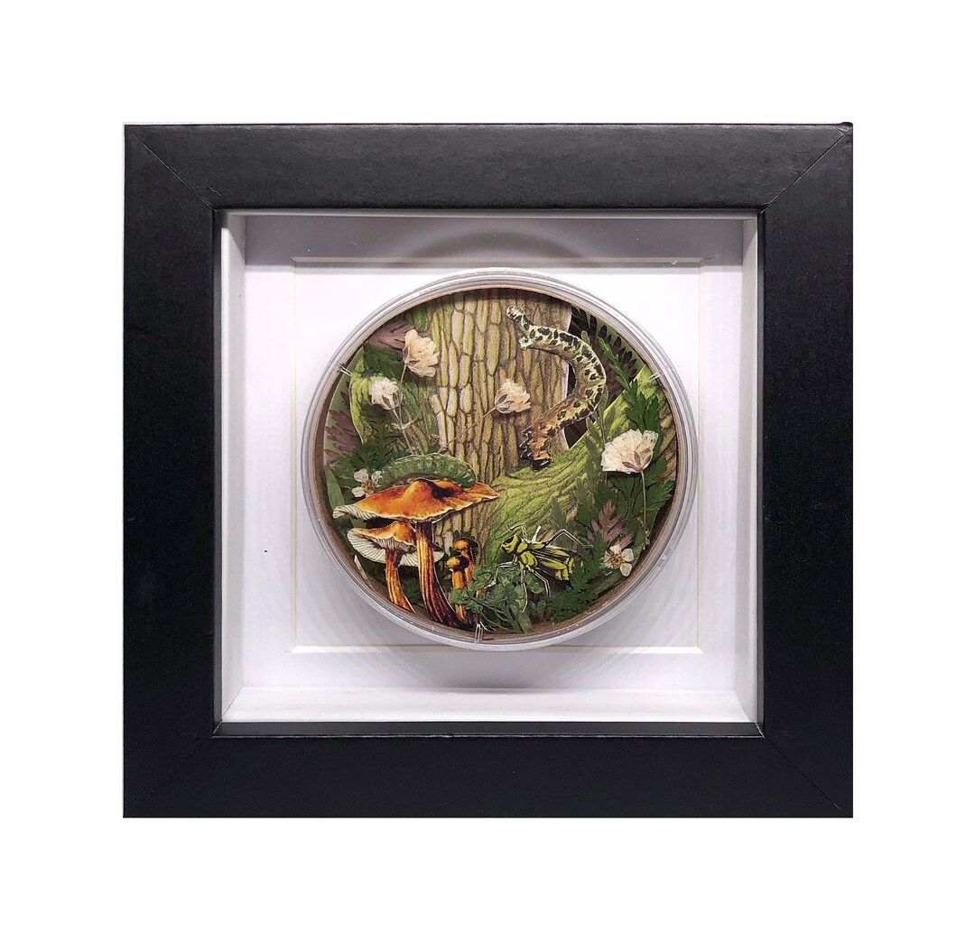 Collage Art in Petri Dish Rest and Rehabilitation - Etsy