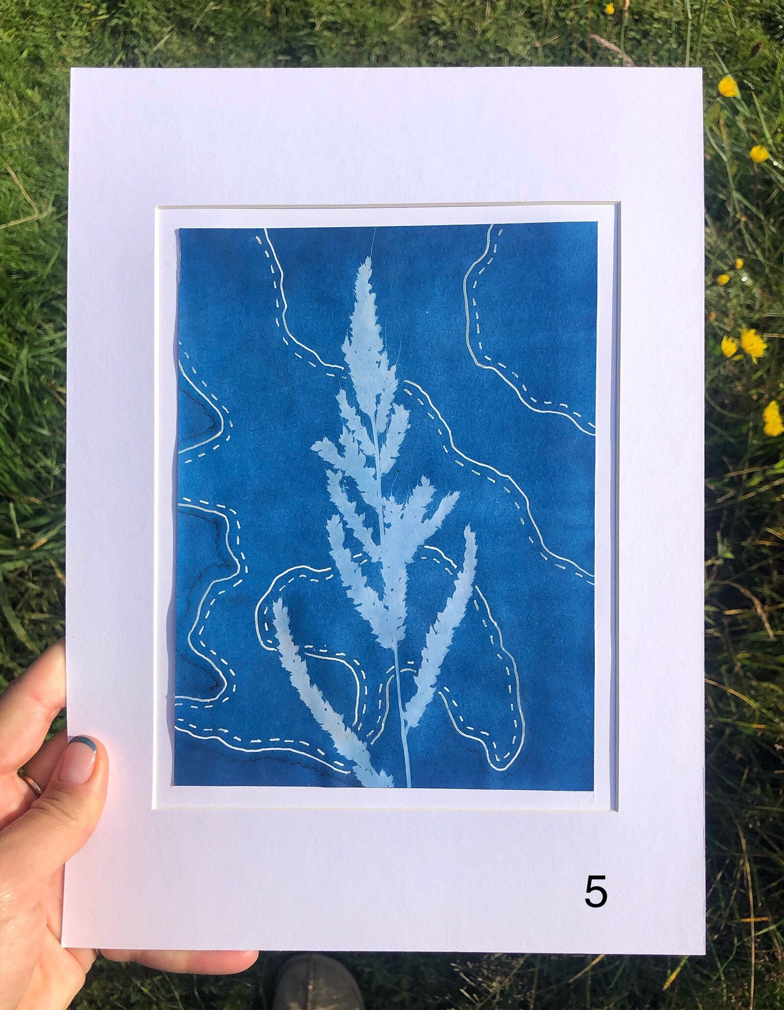 Blue Botanical Art Embellished A5 Cyanotypes Mounted With A4 Mount ...