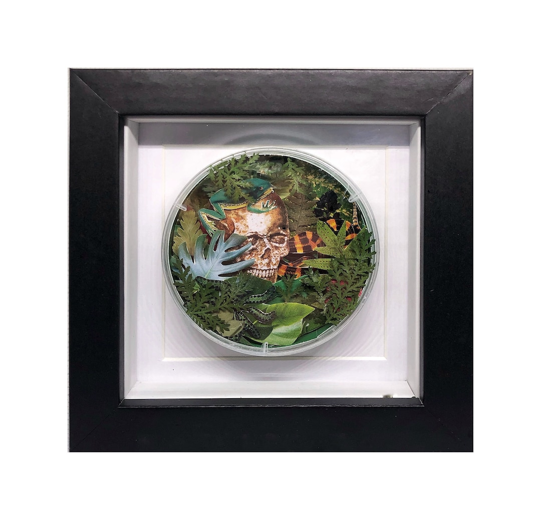 Fear and Fragility Mini Collage in Petri Dish Framed - Etsy