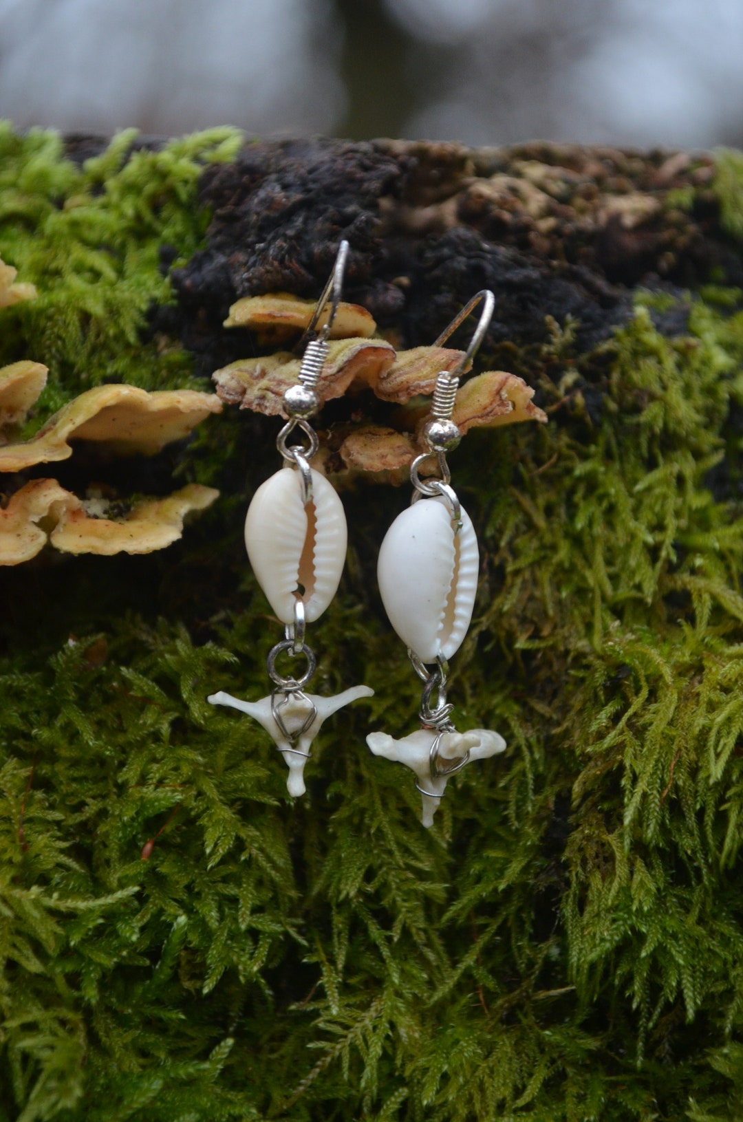 Crow Vertebra and Cowrie Shell Silver Earrings Handmade With Real Bones ...