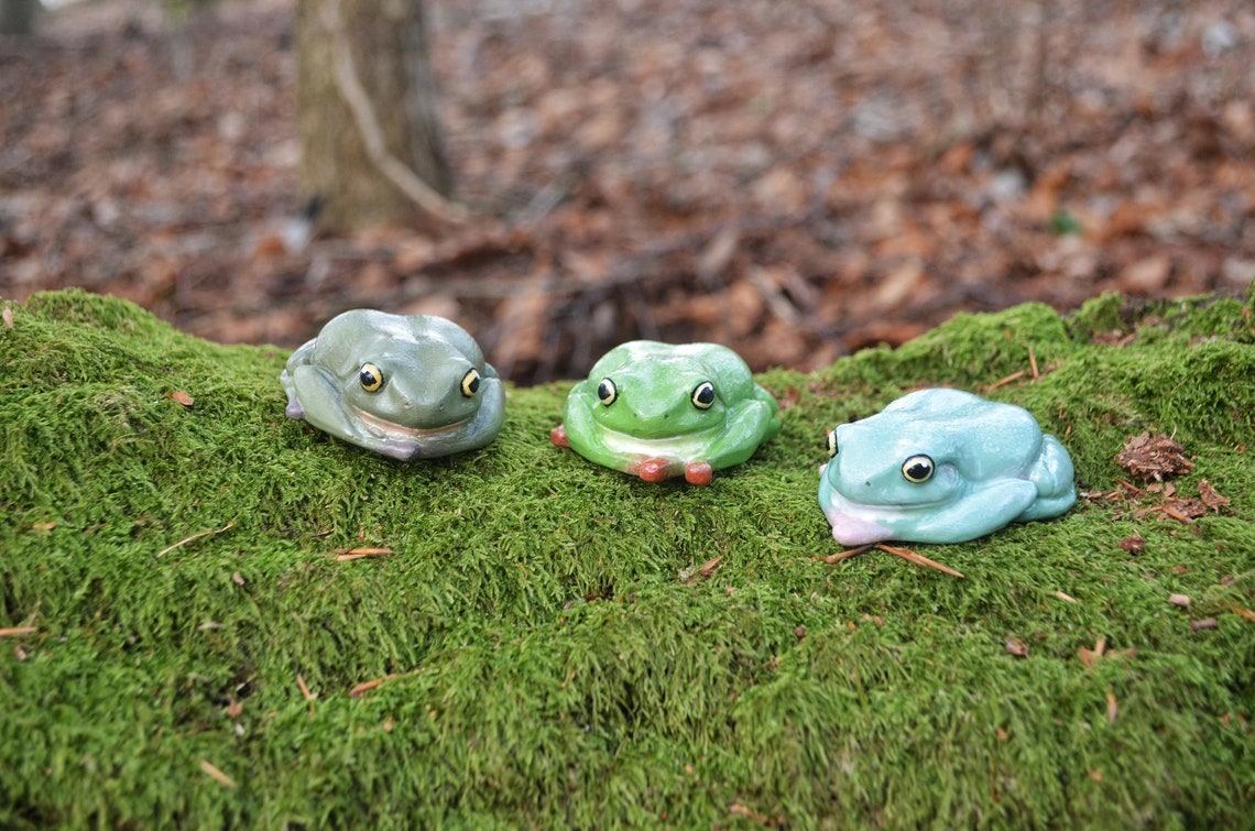 Frog Magnet Handmade Dumpy Frog Whites Tree Frog Australian Tree Frog ...