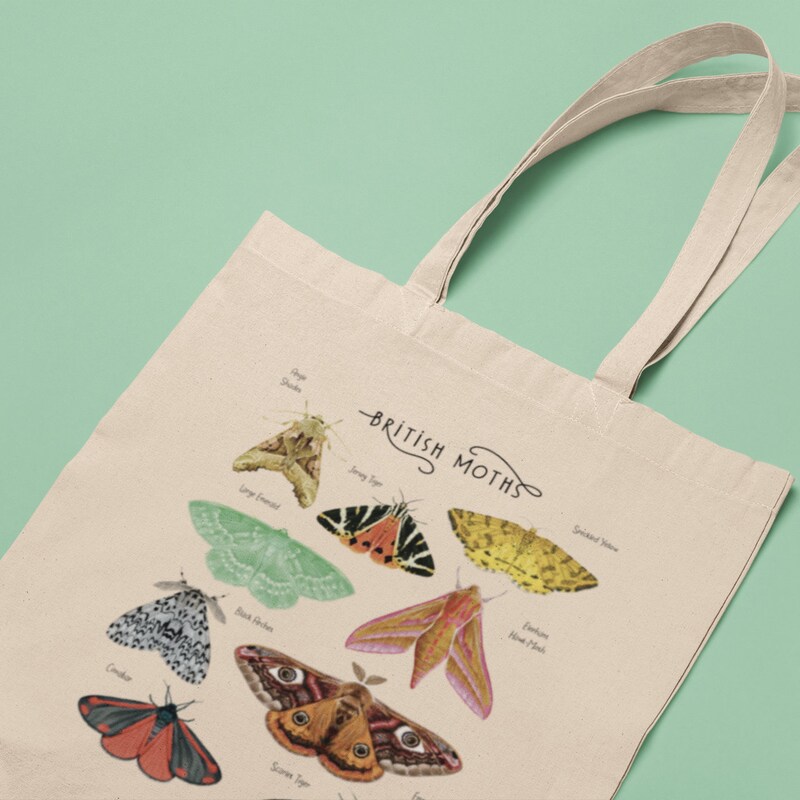 Moth - Etsy