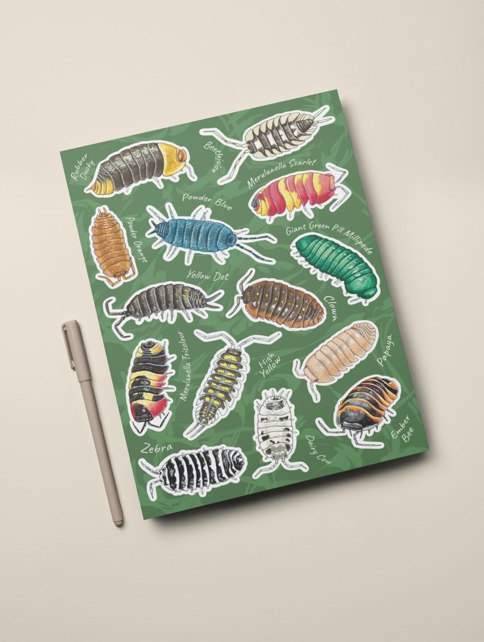 Isopod Sticker Sheet With 9 Eco Paper Stickers - Etsy