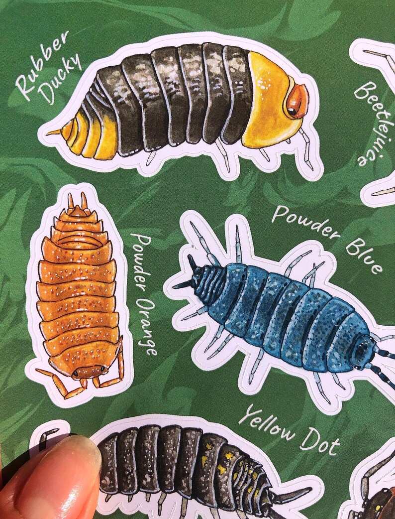 Isopod Sticker Sheet With 9 Eco Paper Stickers - Etsy
