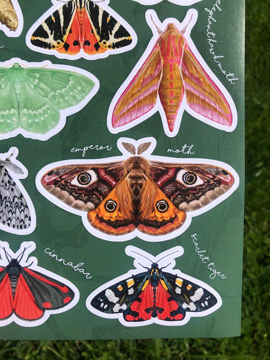 British Moth Sticker Sheet With 9 Eco Paper Stickers - Etsy