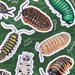 Isopod Sticker Sheet With 9 Eco Paper Stickers - Etsy UK