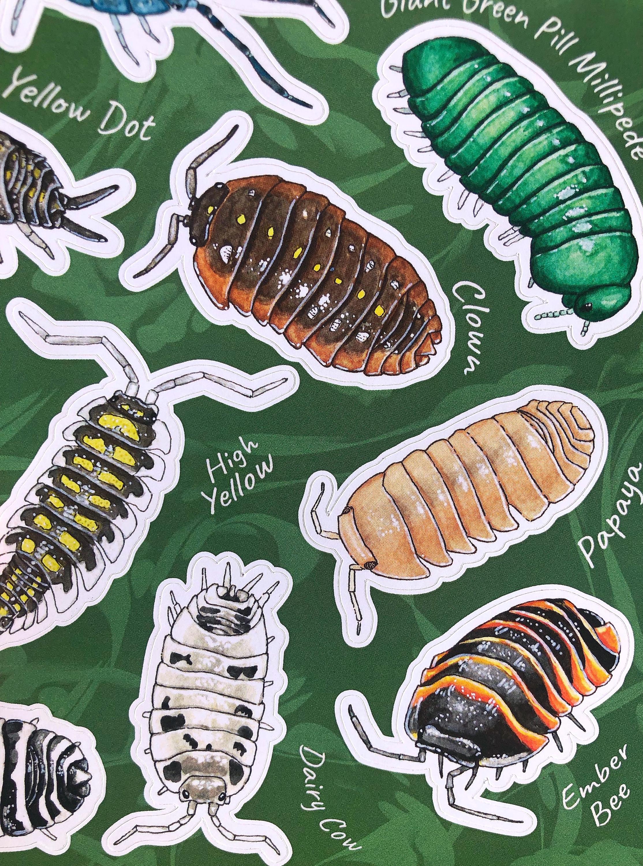 Isopod Sticker Sheet With 9 Eco Paper Stickers - Etsy UK