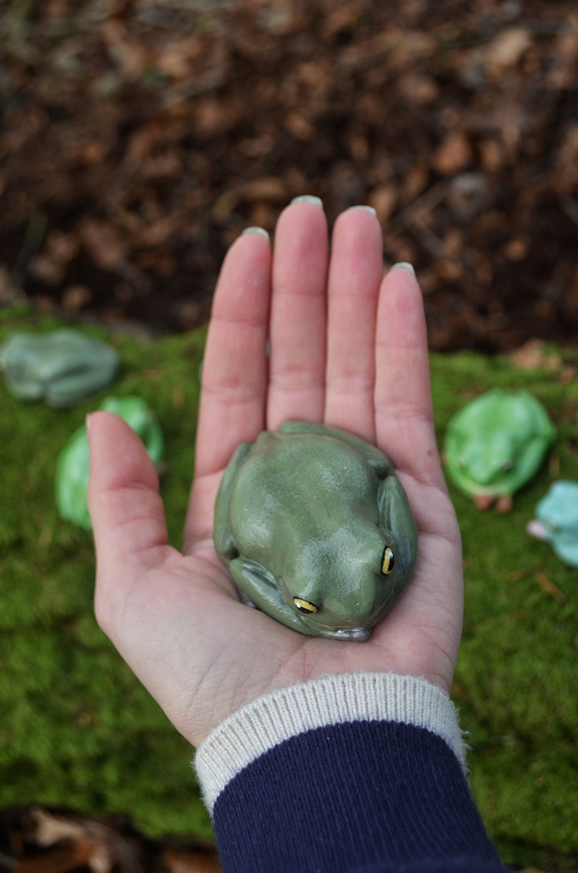 Frog Magnet Handmade Dumpy Frog Whites Tree Frog Australian Tree Frog ...