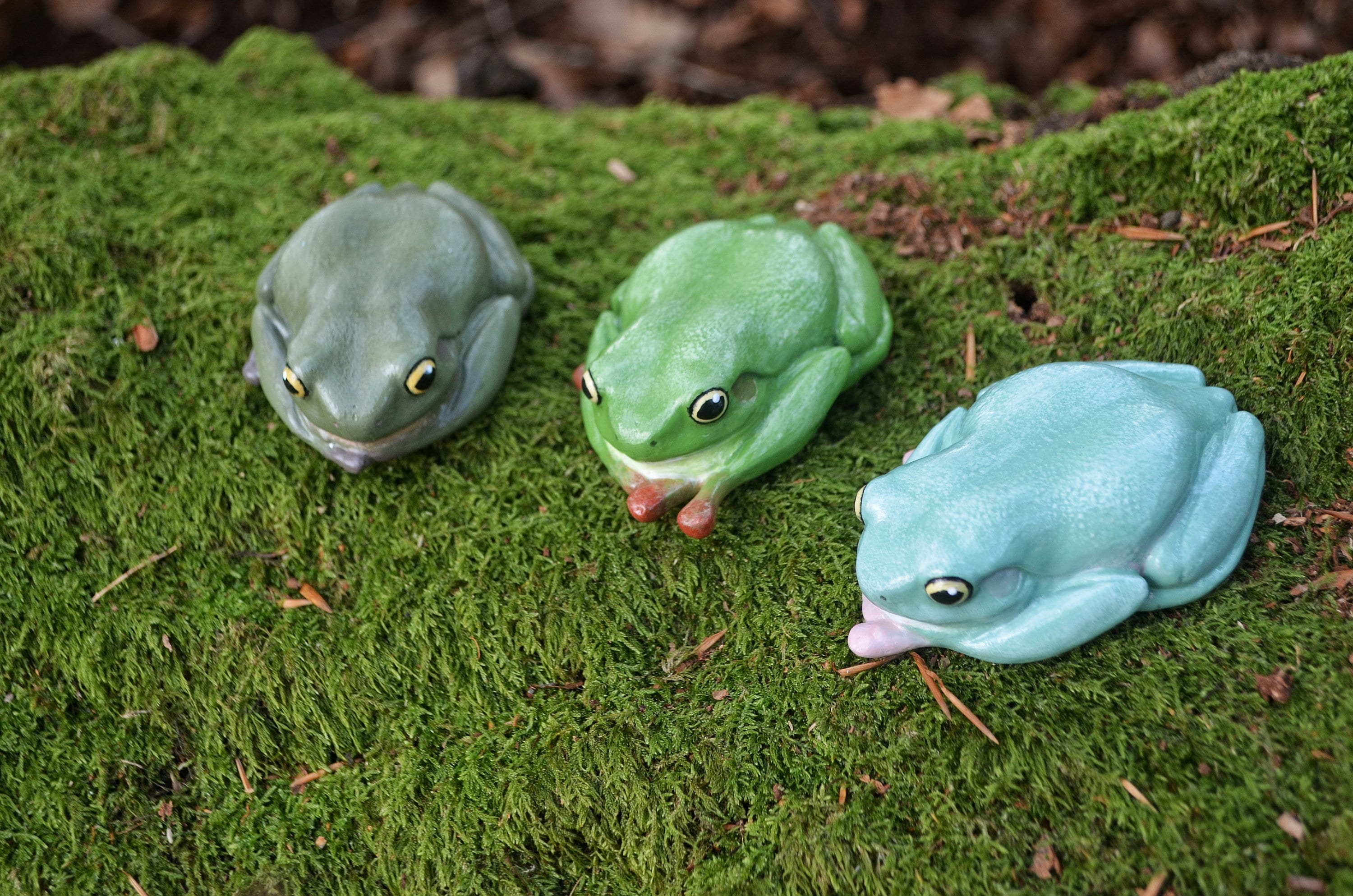 Frog Magnet Handmade Dumpy Frog Whites Tree Frog Australian Tree Frog ...