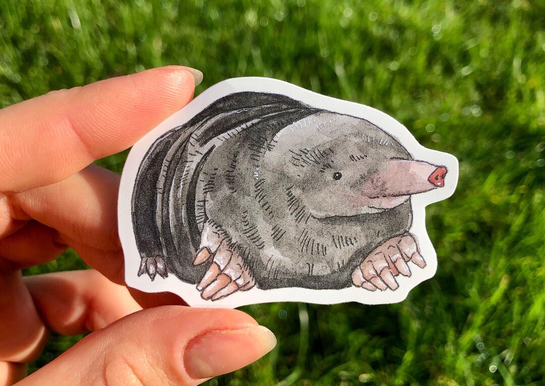 Mole Sticker Waterproof Individual Die-cut Sticker Watercolour European ...