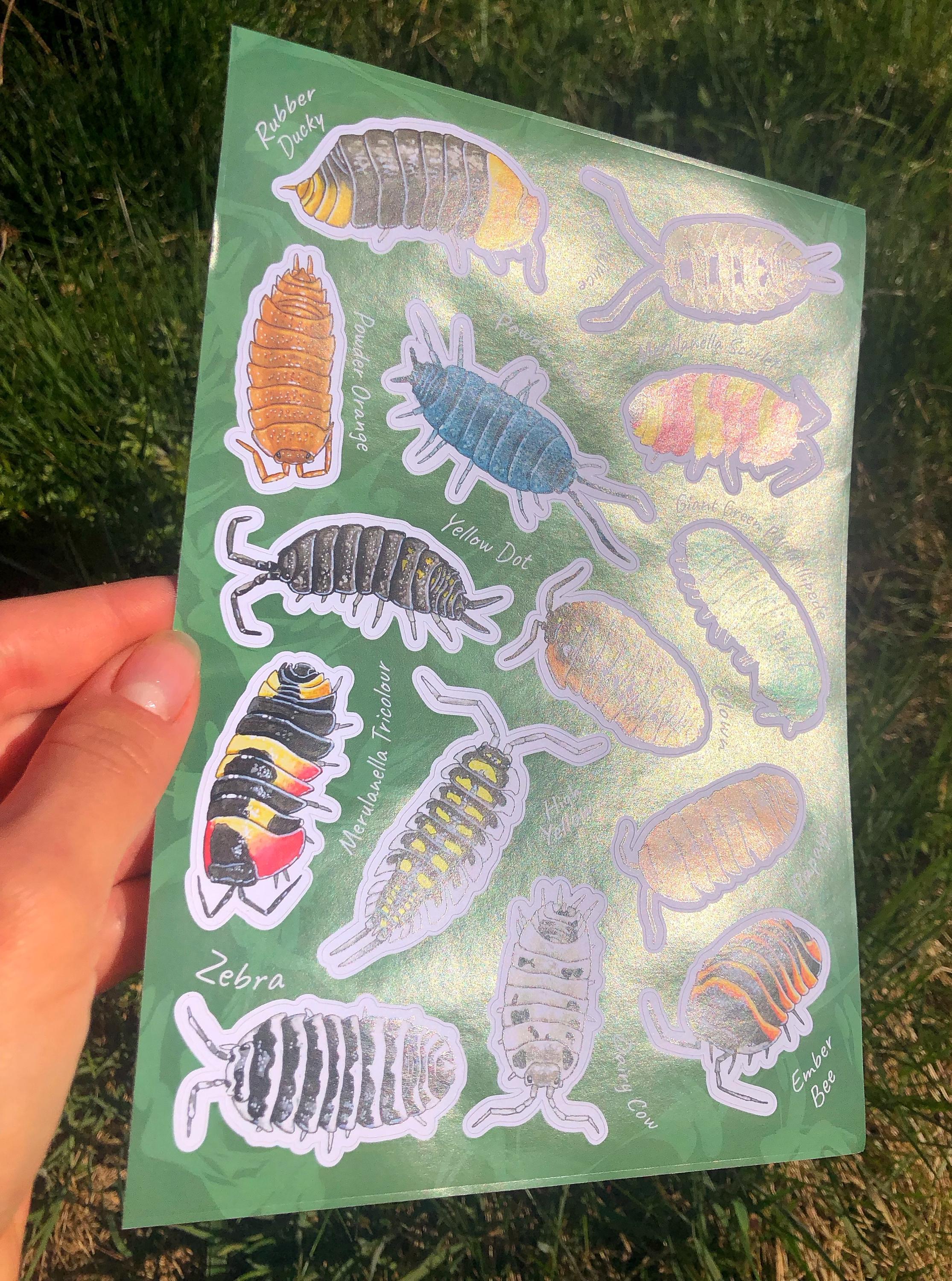 Isopod Sticker Sheet With 9 Eco Paper Stickers - Etsy UK