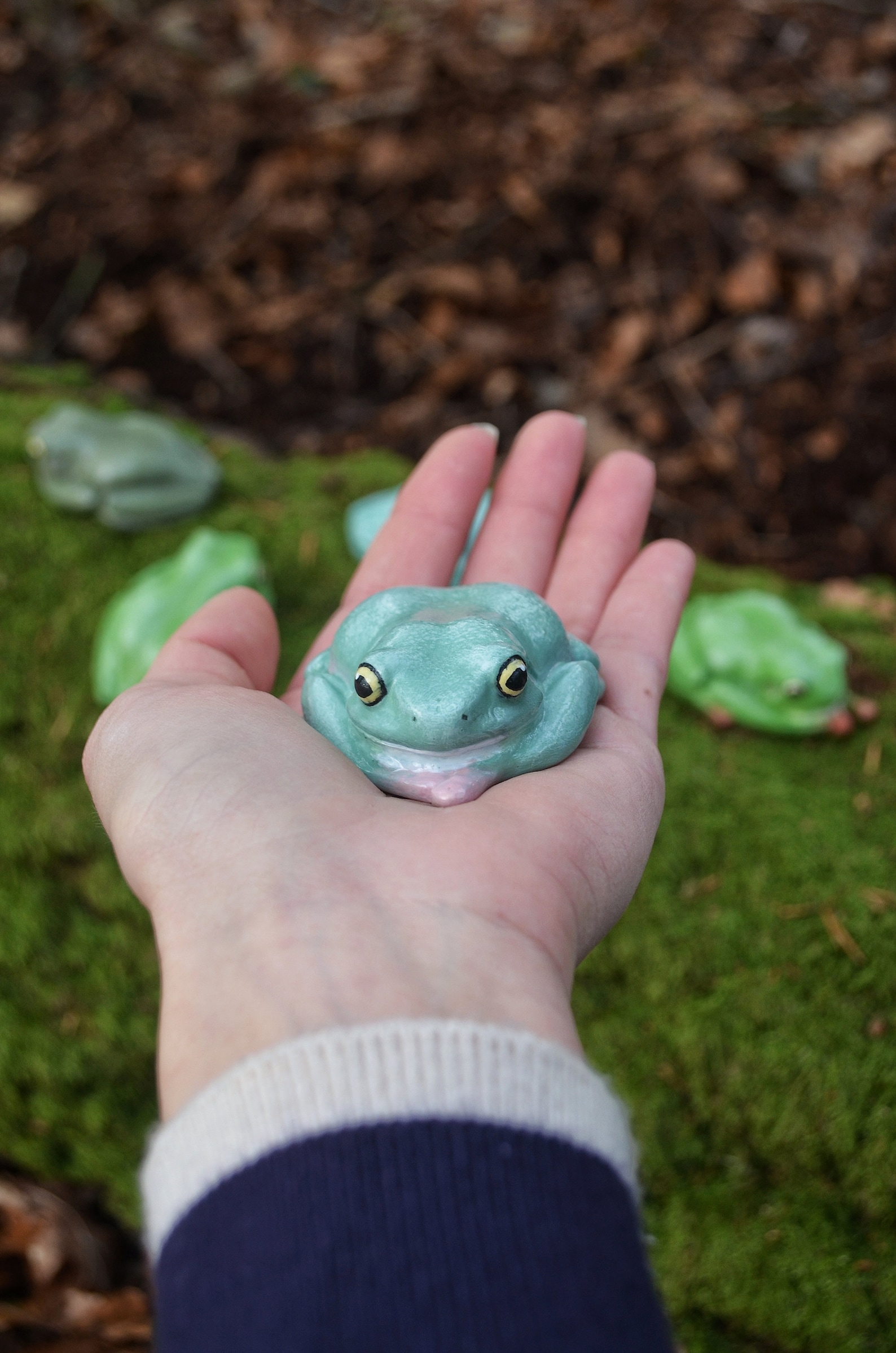 Frog Magnet Handmade Dumpy Frog Whites Tree Frog Australian Tree Frog ...