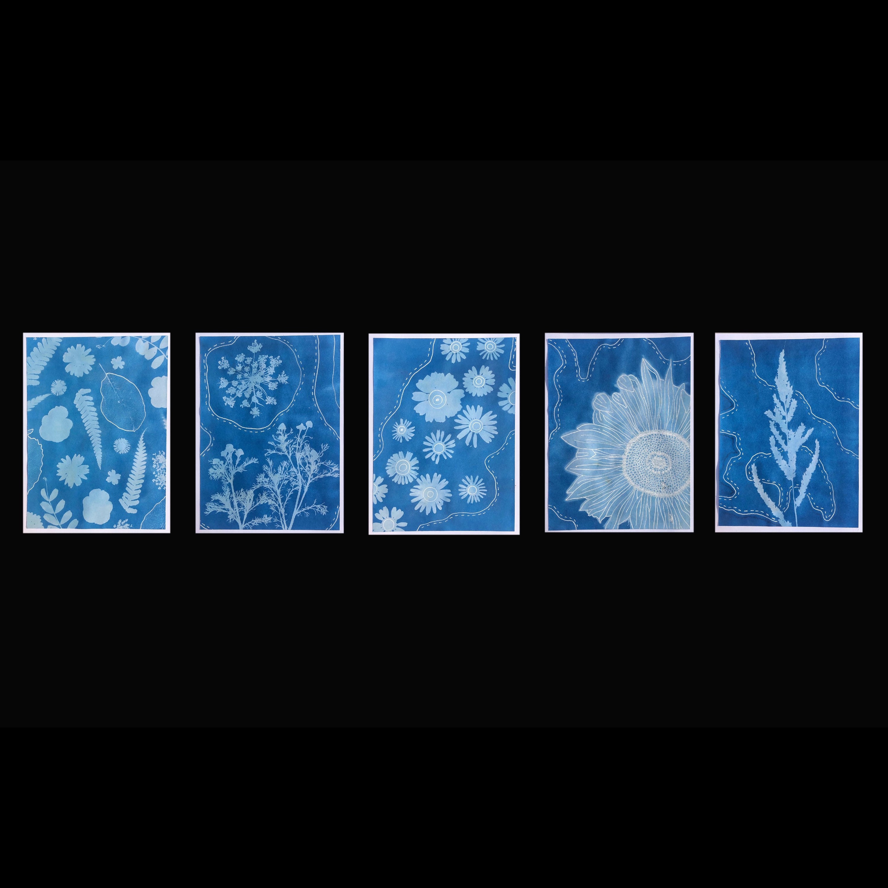 Blue Botanical Art Embellished A5 Cyanotypes Mounted With A4 Mount ...