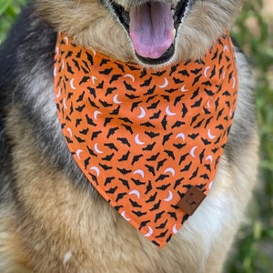 Batty Dog Bandana, Bats and Moons Dog Scarf, Snap on Halloween Dog ...
