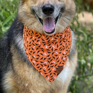 Batty Dog Bandana, Bats and Moons Dog Scarf, Snap on Halloween Dog ...