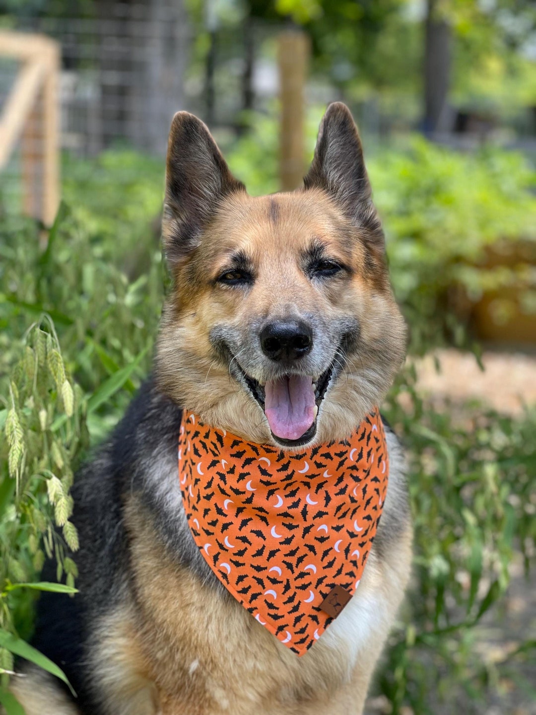 Batty Dog Bandana, Bats and Moons Dog Scarf, Snap on Halloween Dog ...