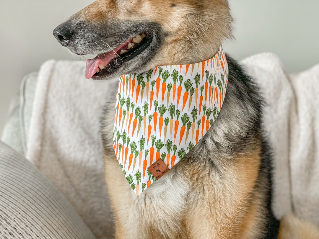 Bunch O Carrots Bandana, Easter Dog Bandana, Embroidered Bandana ...