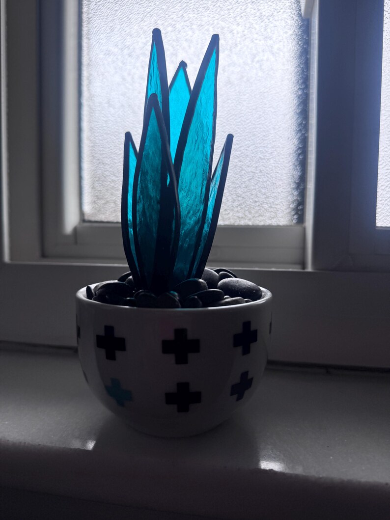 Midnight Mesa Agave - Stained Glass Succulent - Etsy