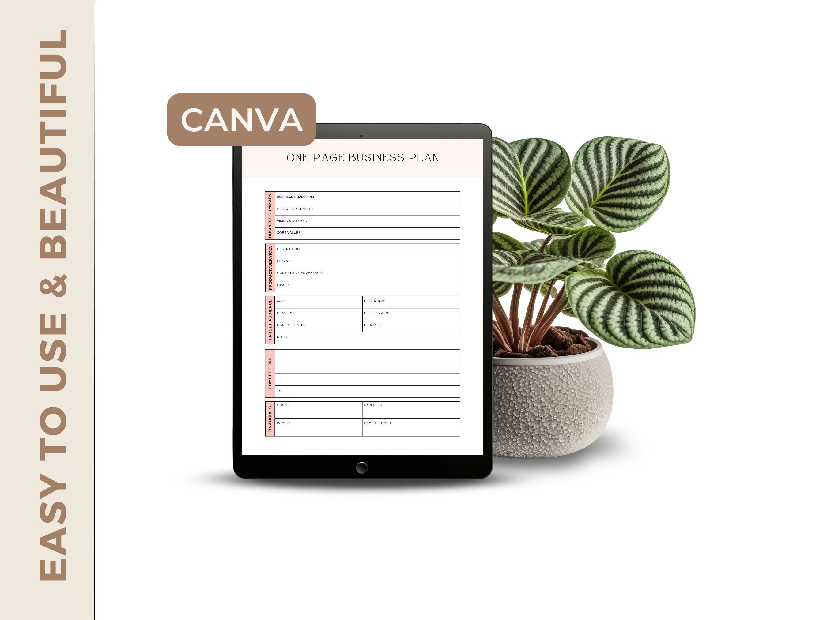Simple One-page Business Plan for Coaches, Organize Business Strategy ...