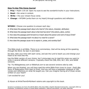 365 Day Bible Reading Plan Undated, Write A Verse A Day Printable ...