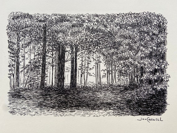 Forest Illustration Ink