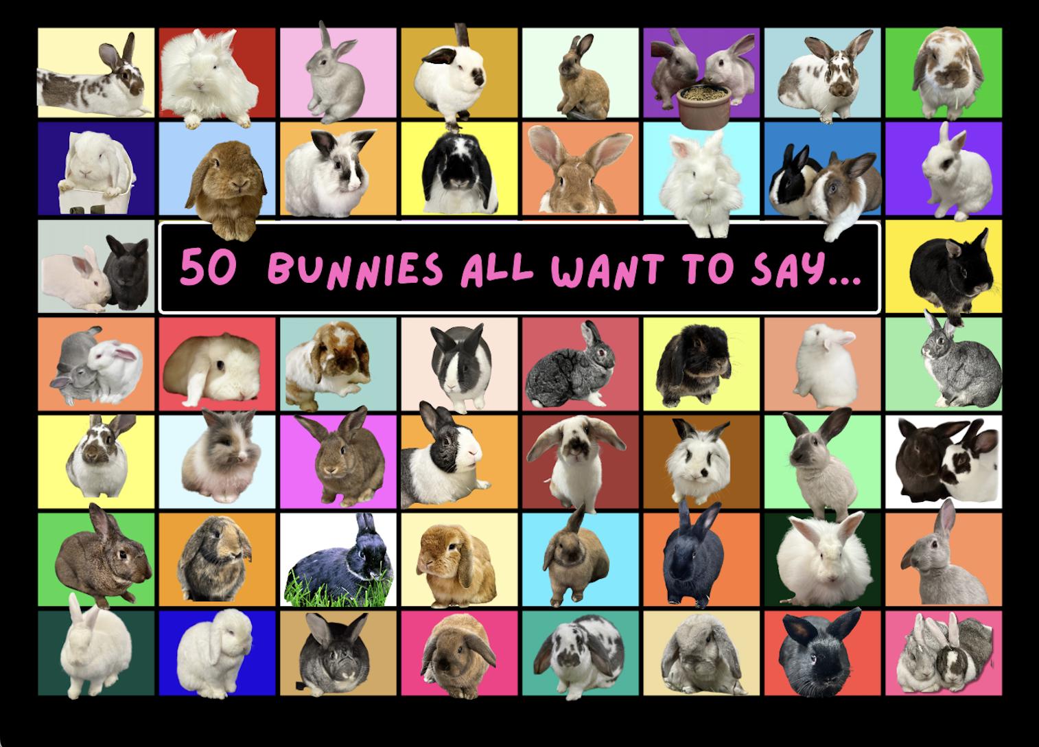50 Bunnies Wishing You a Happy Birthday - Etsy
